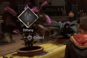 Dittany - Hogwarts Companion